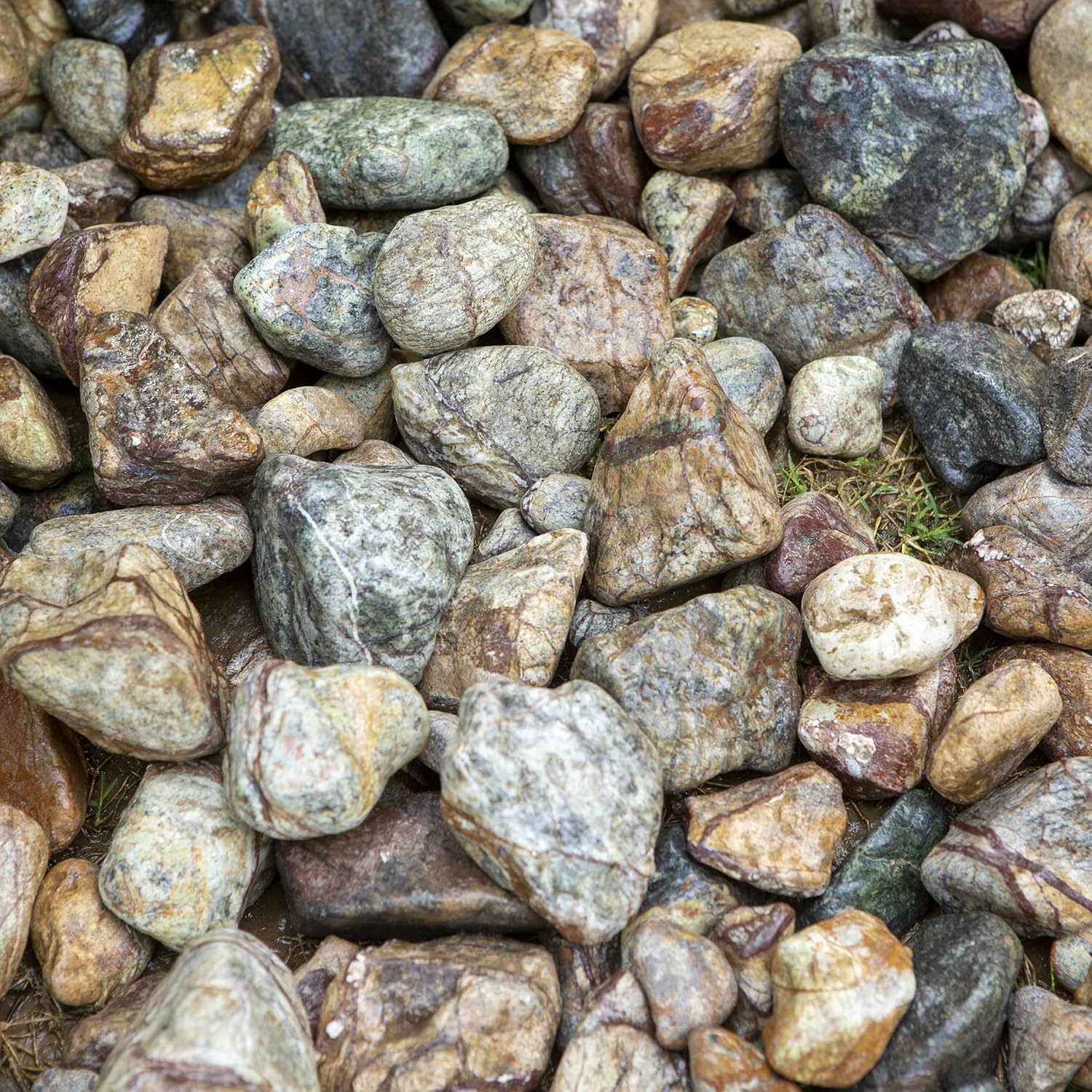 Strata Marble Forest Green Brown Pebbles Decorative Stones for Garden ...