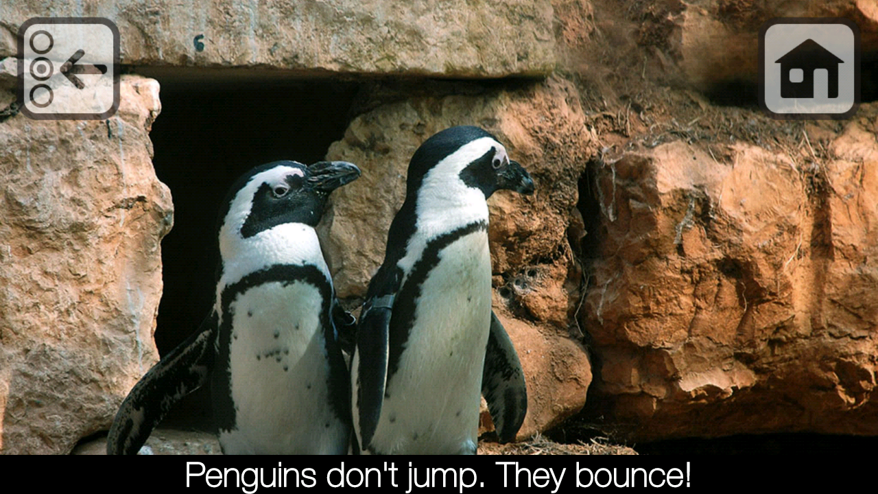 100 Zoo Animals - Elephants, giraffes, lions and more:Amazon.com:Appstore for Android