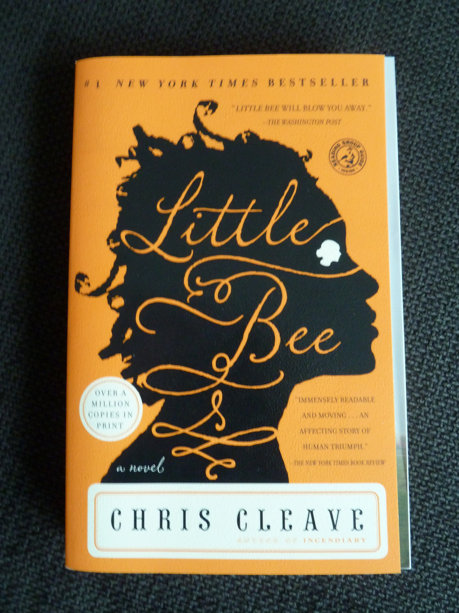 Little Bee: Amazon.co.uk: ChrisCleave: Books