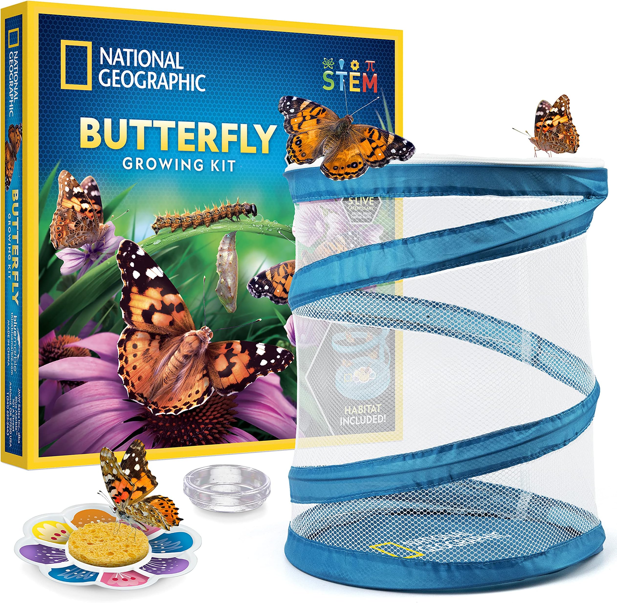 National Geographic Butterfly Growing Kit - Butterfly Habitat Kit with ...