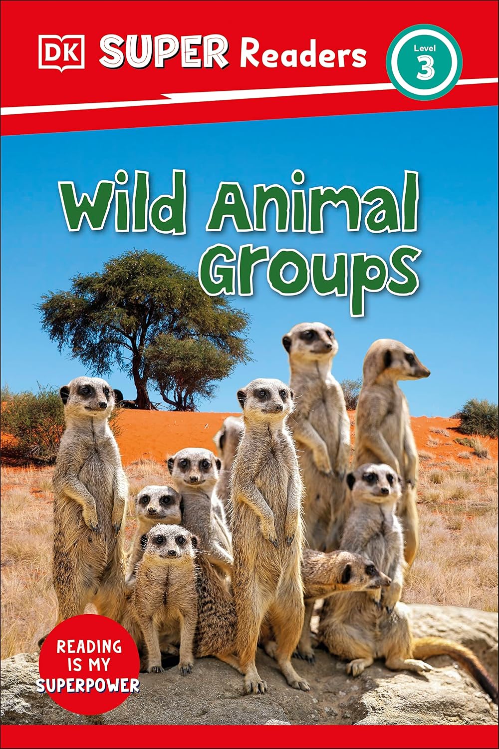 Amazon.com: DK Super Readers Level 3 Wild Animal Groups: 9780744075526 ...