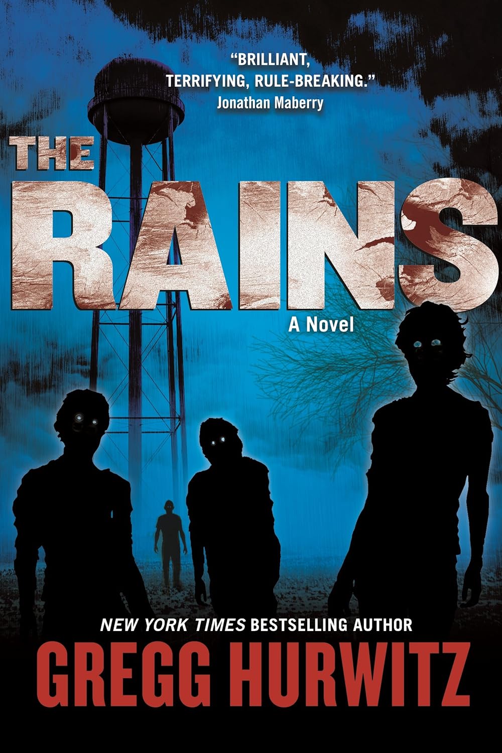 Amazon.com: The Rains (The Rains Brothers, 1): 9780765382689: Hurwitz ...