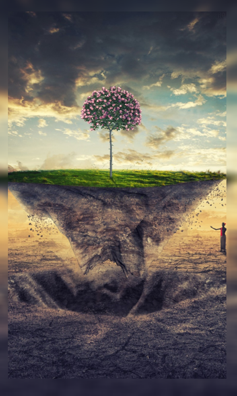 4K Tree Wallpaper - Aplicativo na Amazon Appstore