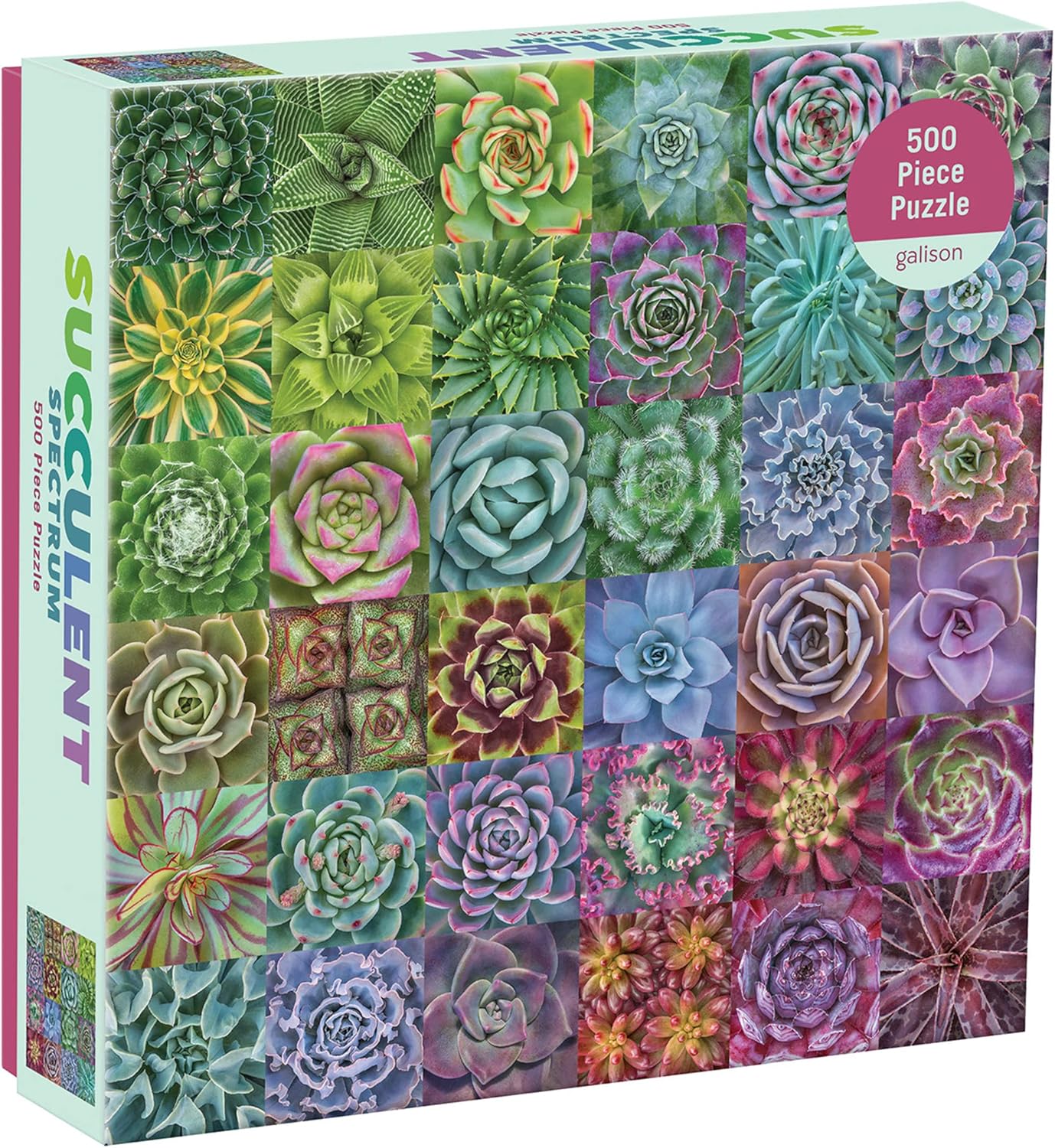 Amazon | Succulent Spectrum Puzzle: 500 Pieces | ジグソーパズル | おもちゃ