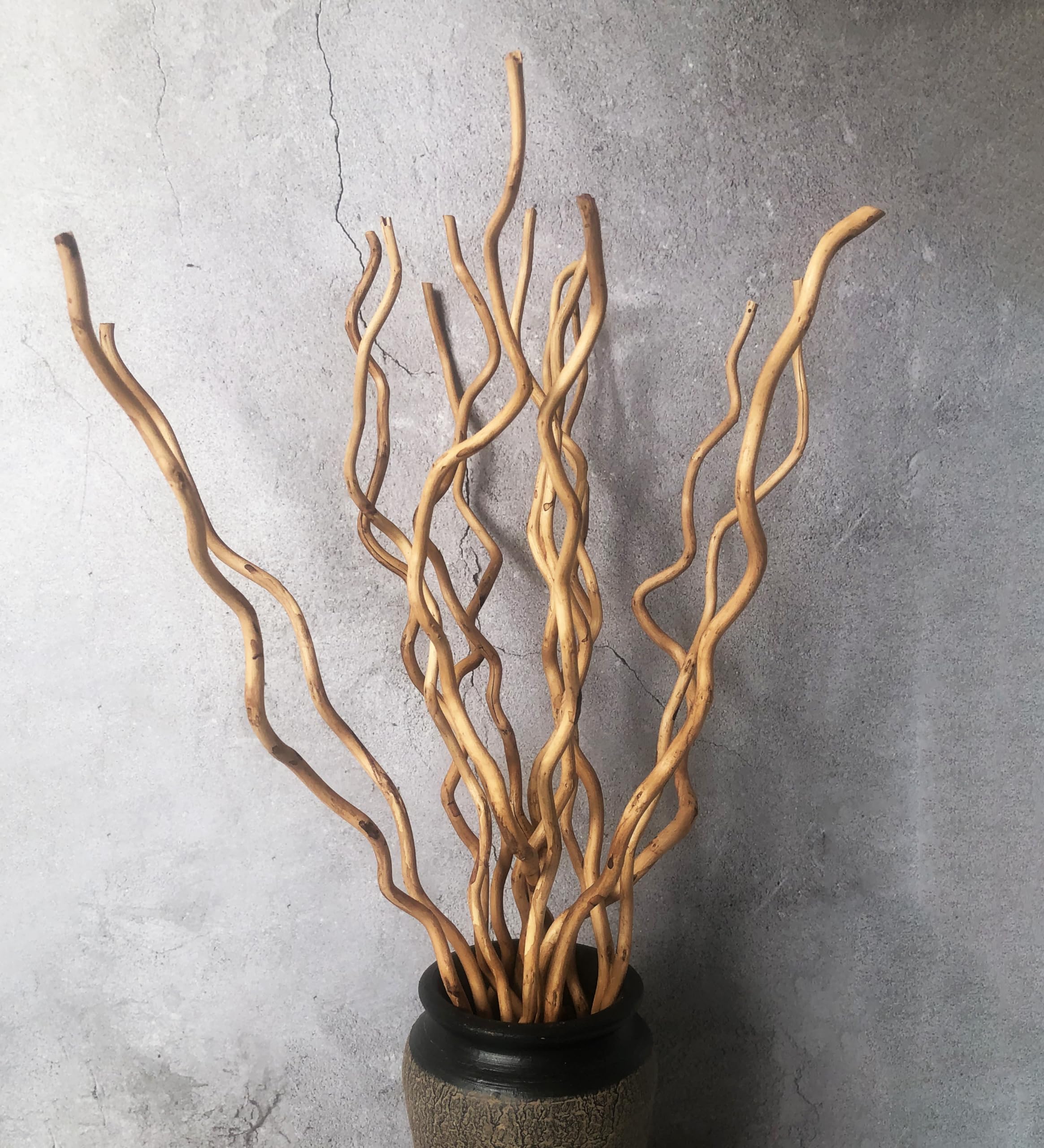 Amazon.com: Dried Curly Willow Branches, 14-15 Stems Dried Twigs Sticks ...
