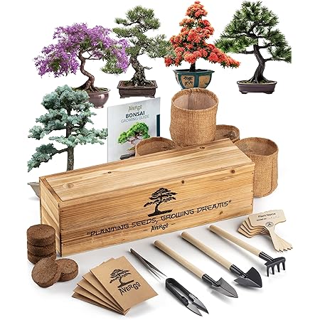 Amazon.com : Bonsai Tree Kit, Grow Your Own: Premium 4 Bonsai Trees ...