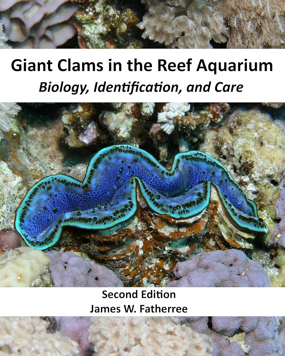 Giant Clams in the Reef Aquarium: Biology, Identification, and Care ...