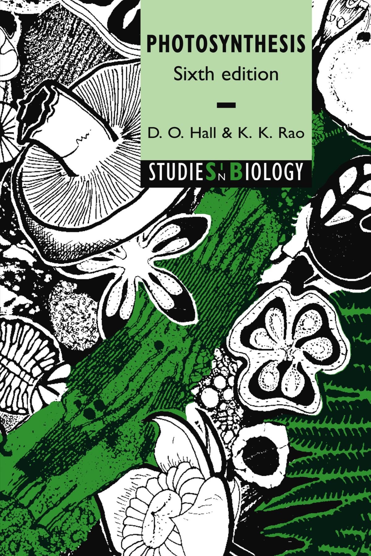 Photosynthesis (Studies in Biology): 9780521644976: Medicine & Health ...