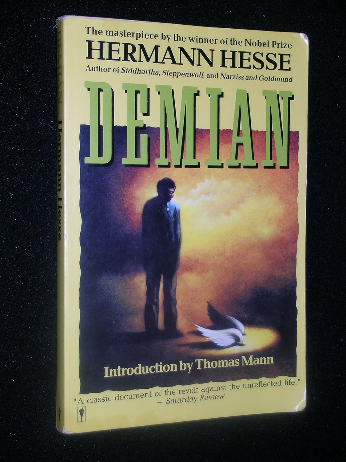 Demian: The Story of Emil Sinclair's Youth: #Hermann Hesse (Author ...