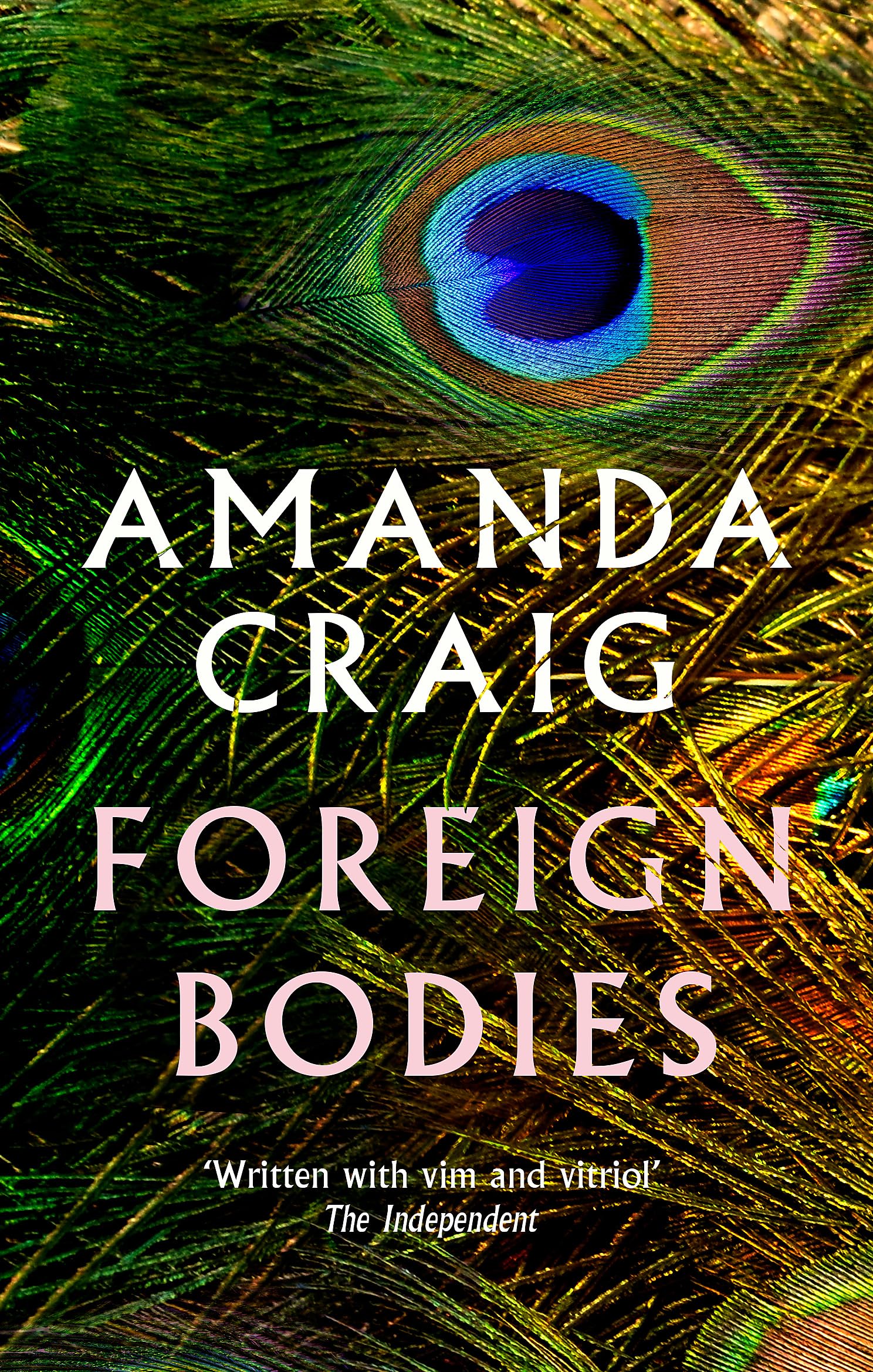 Amazon.com: Foreign Bodies: 9780349145044: Craig, Amanda: Books