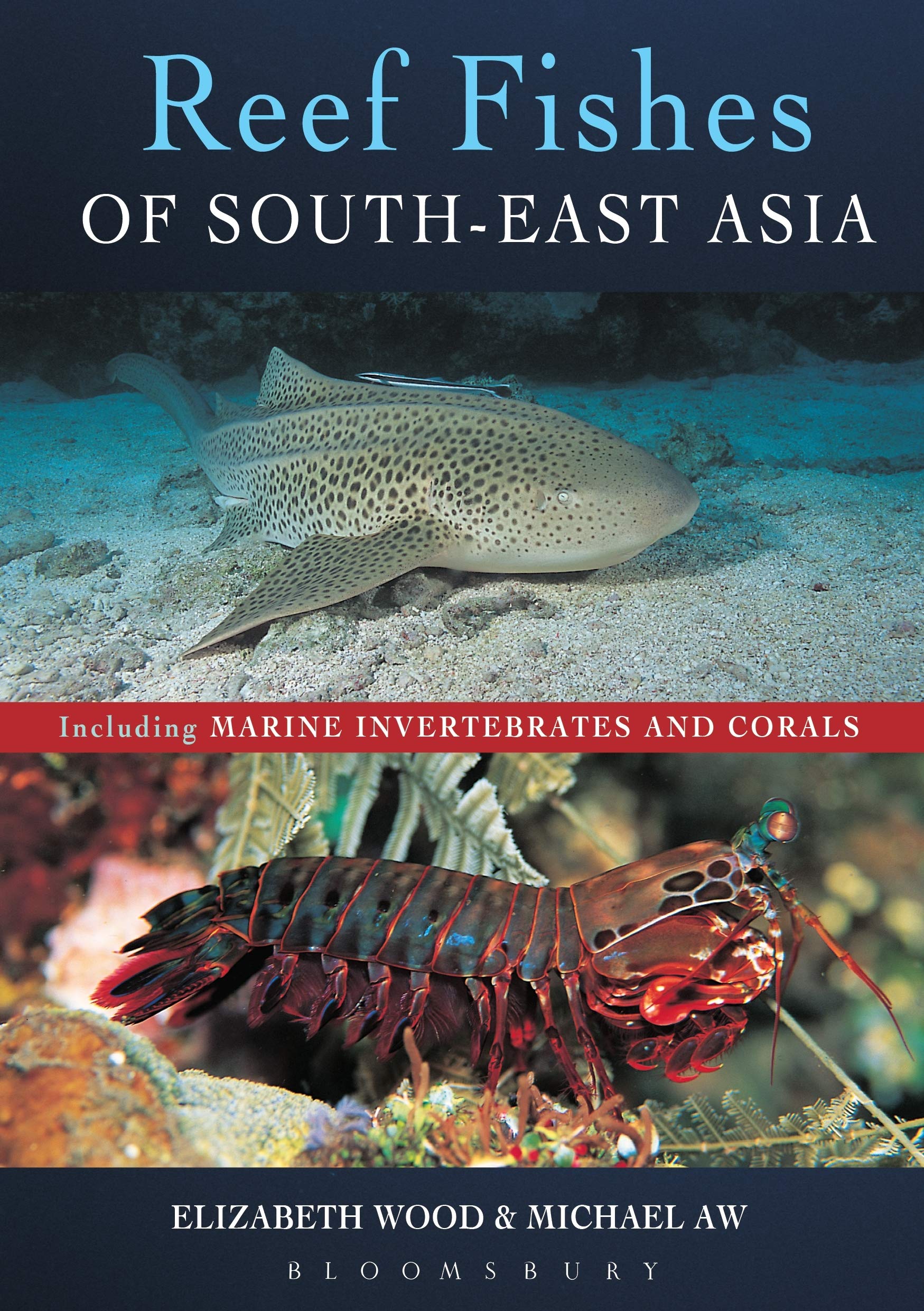 Reef Fishes of South-East Asia: Wood, Elizabeth, Aw, Michael ...