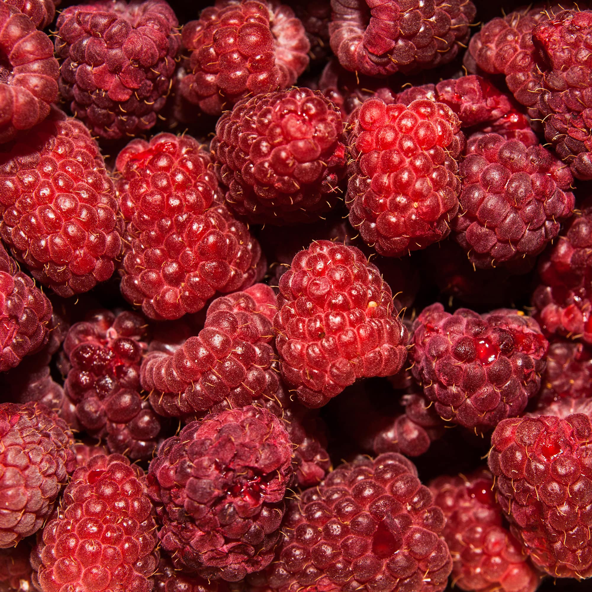 Dash Water Raspberry - 12 x Raspberry Flavoured Sparkling Spring Water ...