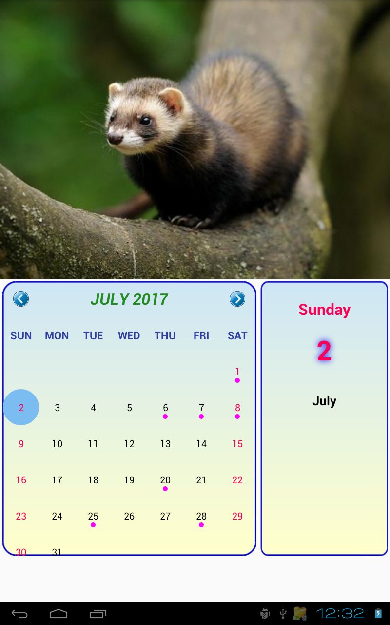 Calendar My Ferret - App on Amazon Appstore