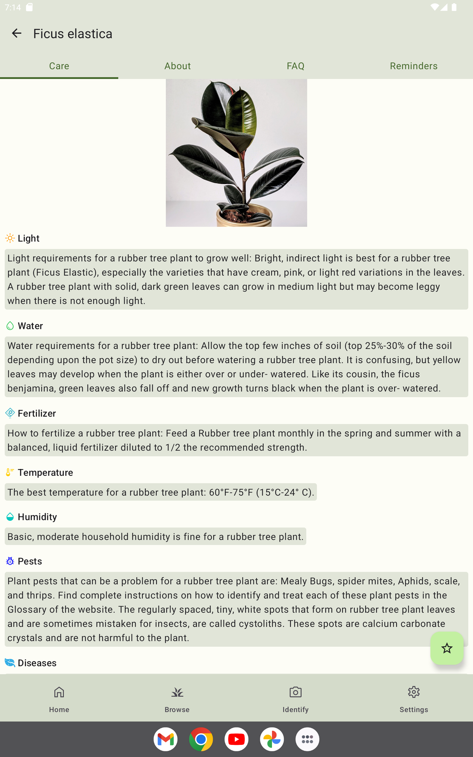 Plant Care - Identify Flowers - App on Amazon Appstore