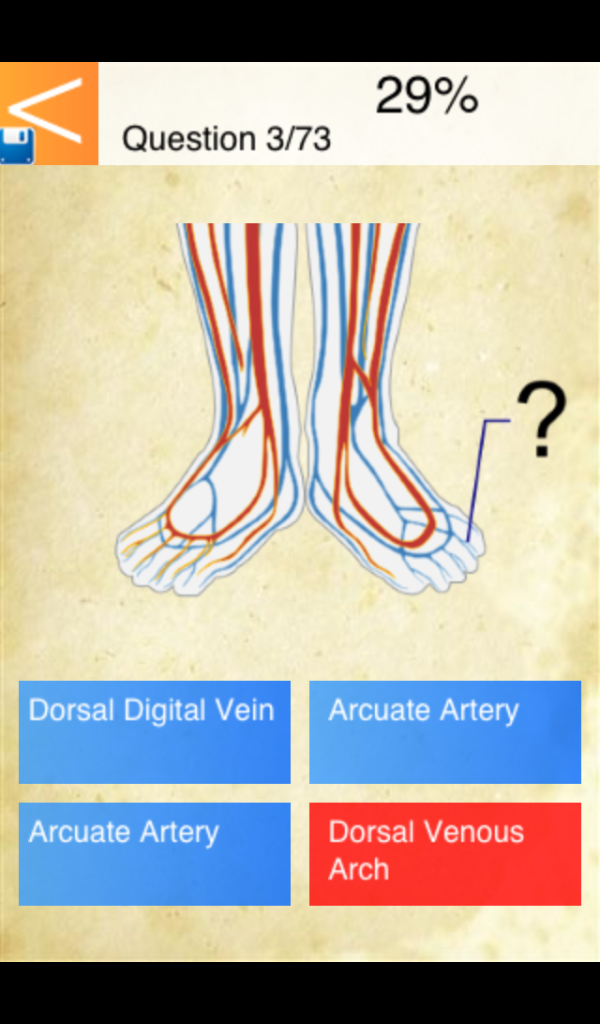 Anatomy Skills - The Circulatory System - App on Amazon Appstore