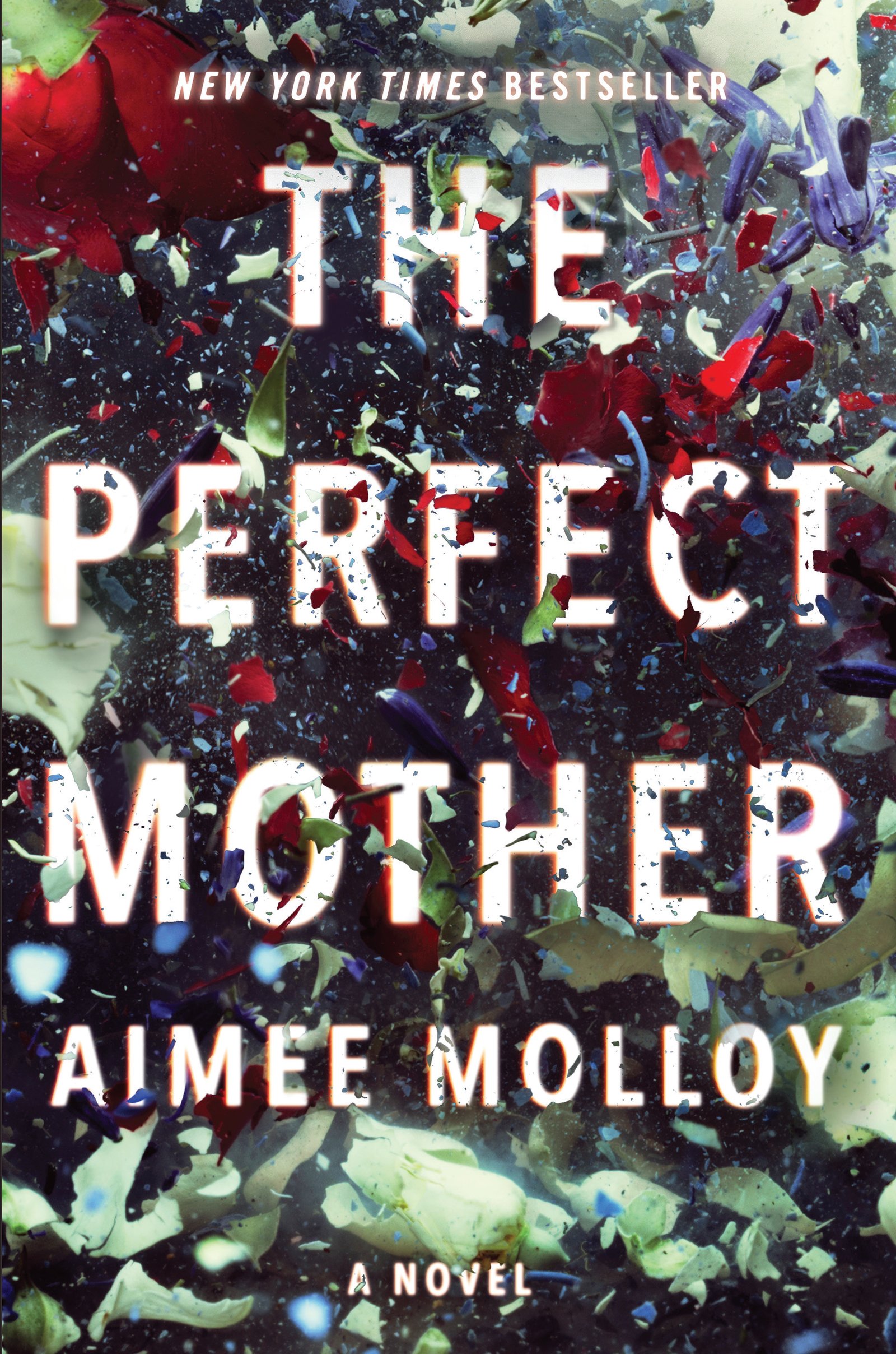 Amazon.com: The Perfect Mother: A Novel: 9780062696793: Molloy, Aimee ...