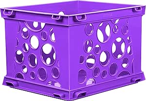 Amazon.com: Storex Industries Storex Mini Crate 9"X7.75"X6", Violet