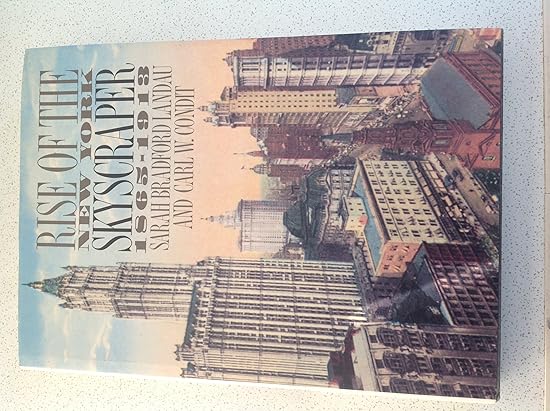 Rise of the New York Skyscraper: 1865-1913: Landau, Professor Sarah ...