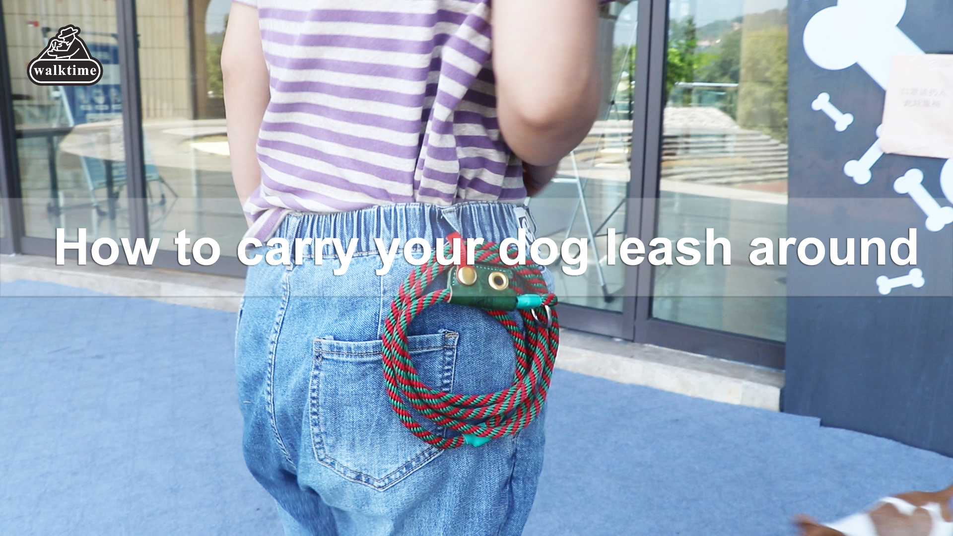 Watch Carry your slip lead dog leash around on Amazon Live