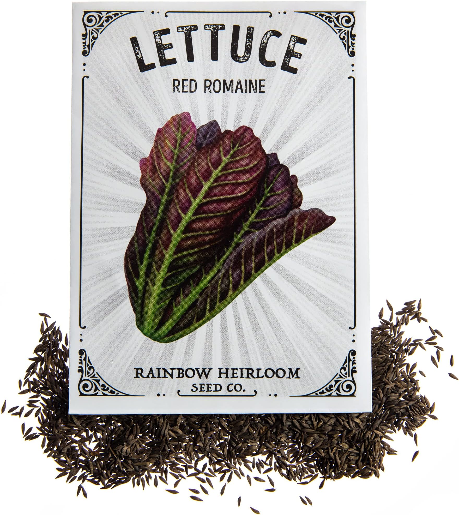 Amazon.com : Lettuce Seeds for Planting | Red Romaine Variety (2.5g ...