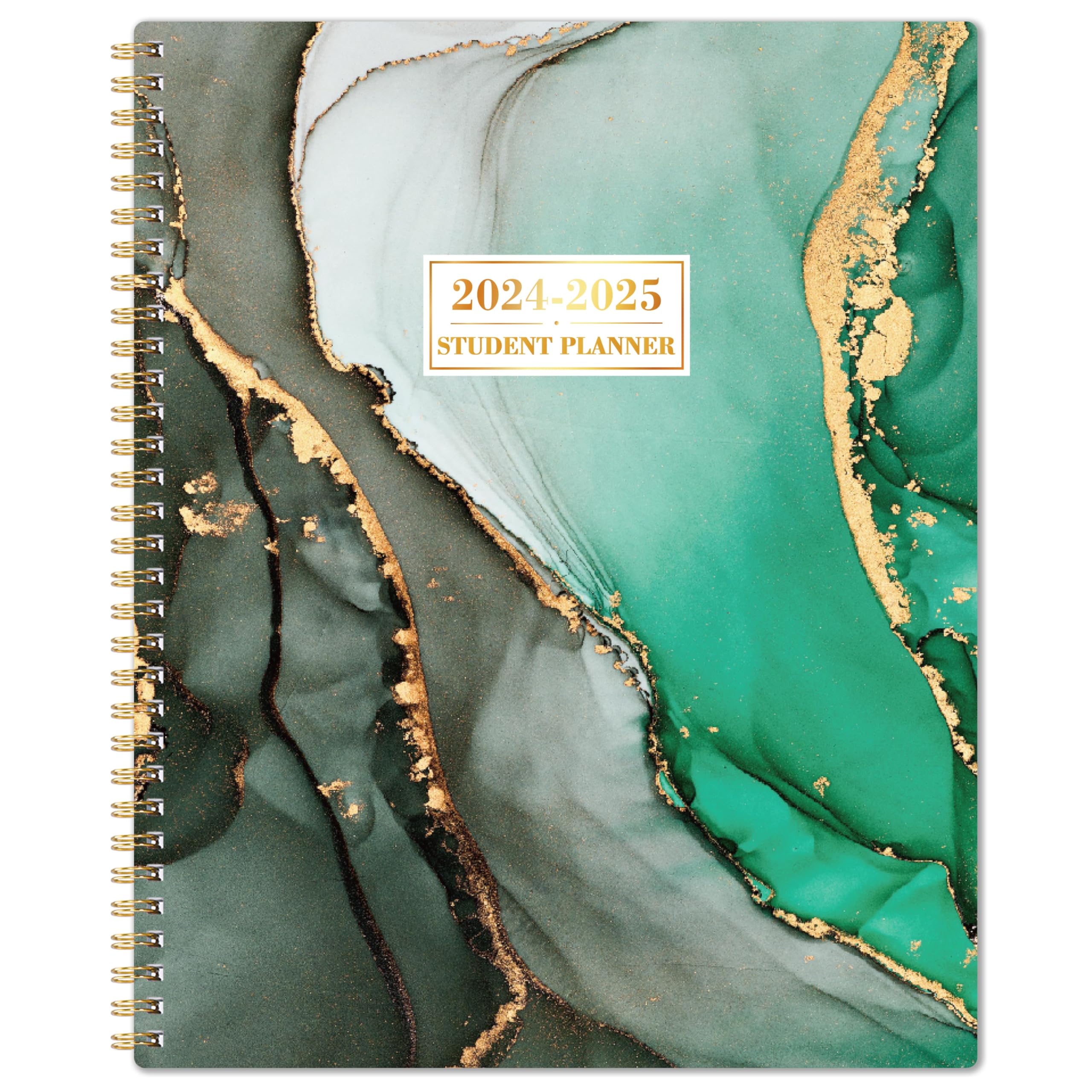 Buy Student Planner 2024-2025 - Monthly and Weekly School Planner 2024 ...