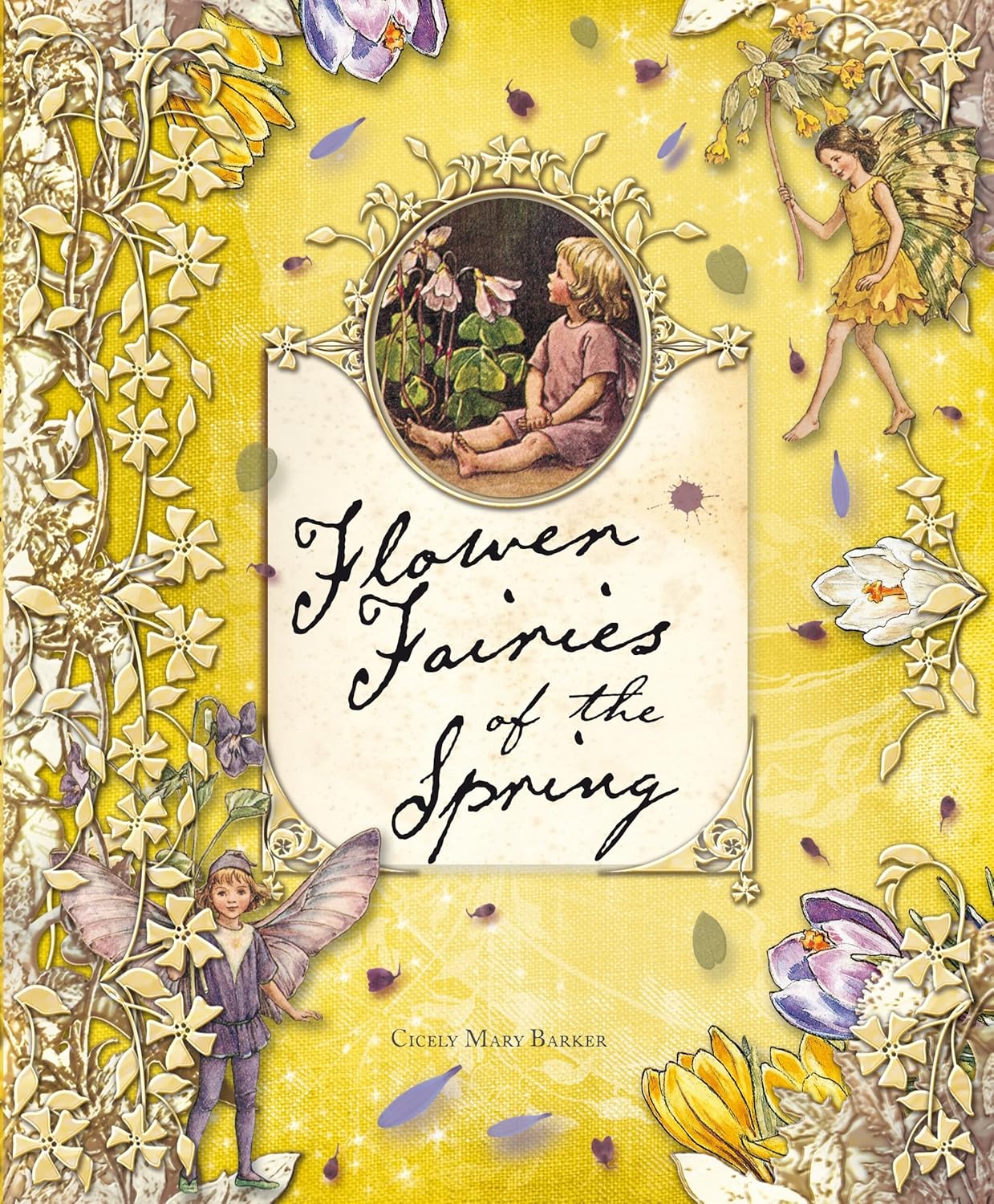 Amazon.com: Flower Fairies of the Spring: 9780723259923: Barker, Cicely ...