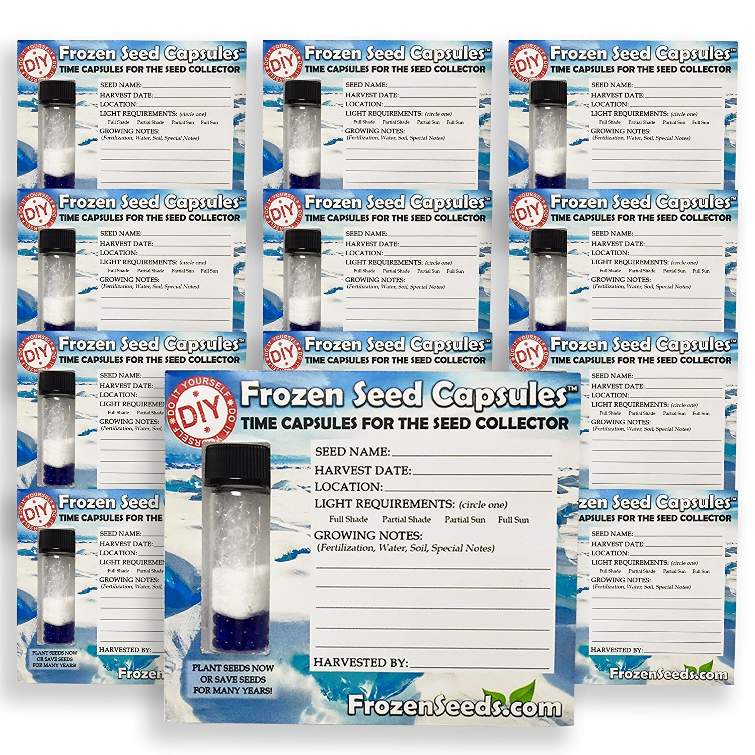 Buy Frozen Seed s 'Do-It-Yourself' DIY Small Seed Storage s '12 Pack ...