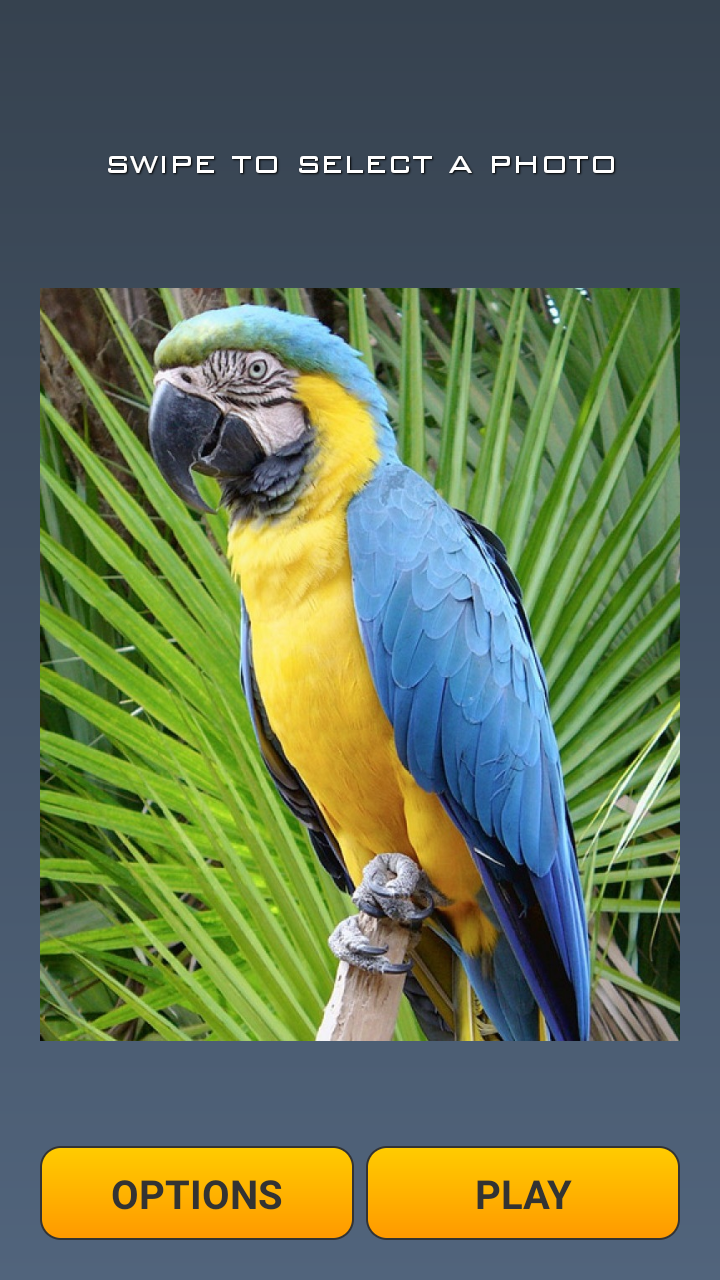 Cute Birds Puzzle - App on Amazon Appstore