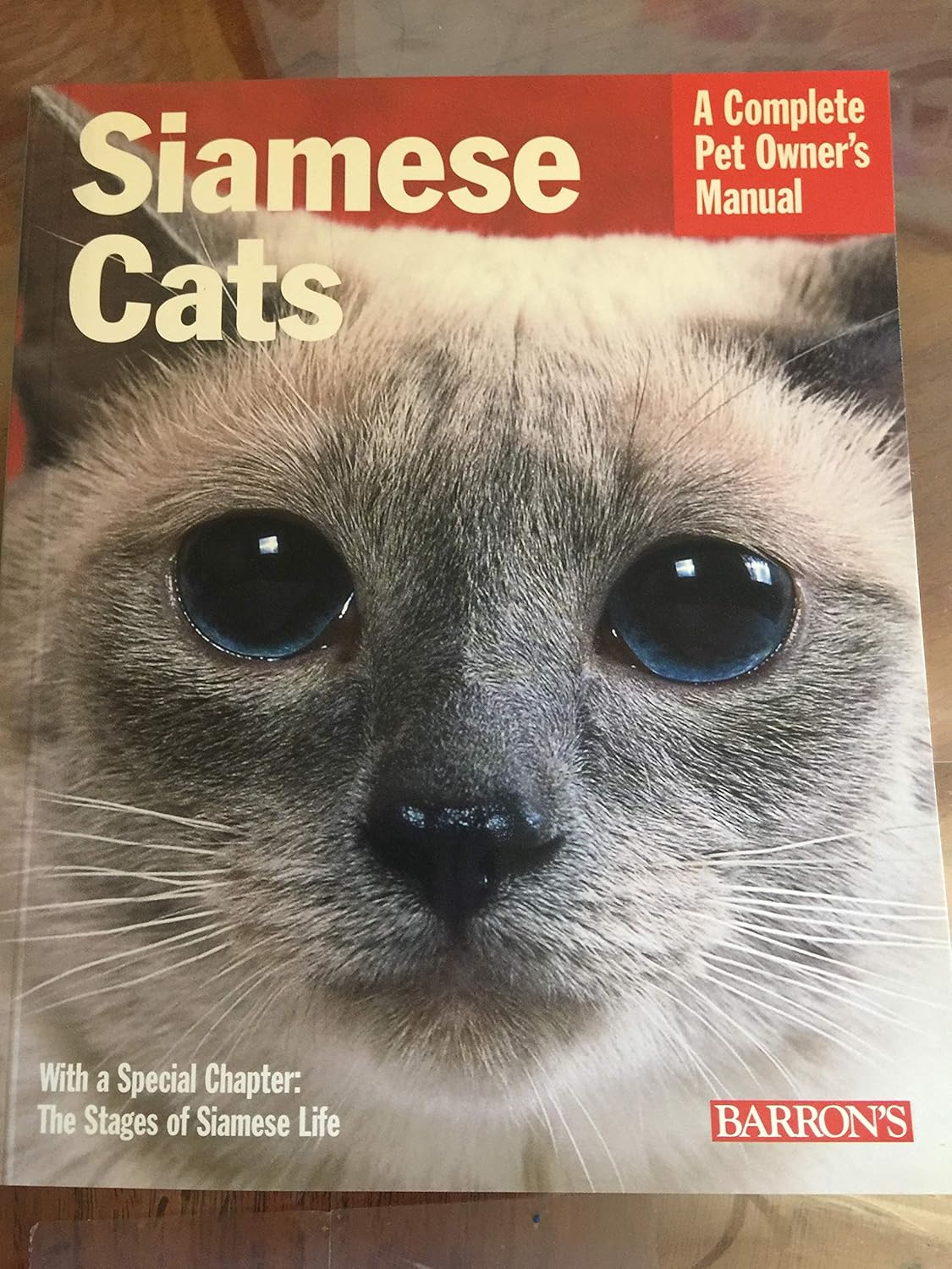 Siamese Cats: A Everything about Acquisition, Care, Nutrition, Behavior ...