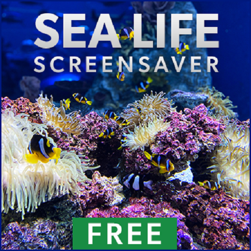 FREE relaxing coral reef screensaver:Amazon.com:Appstore for Android