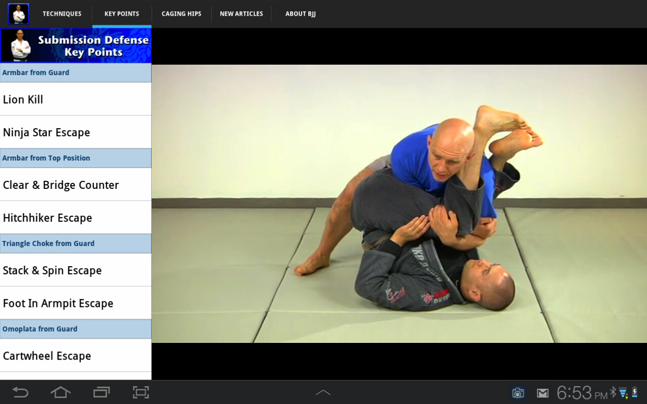 Grapplearts - Submission Defense. How to Defend and Escape Chokes, Armlocks and Leglocks in ...