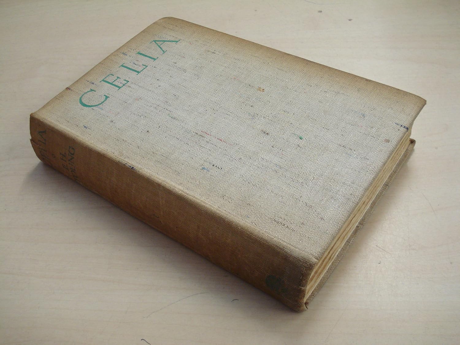 CELIA: A NOVEL: E.H. Young: Amazon.com: Books
