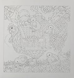 Amazon.com: Mythographic Color and Discover: Aviary: An Artist's ...