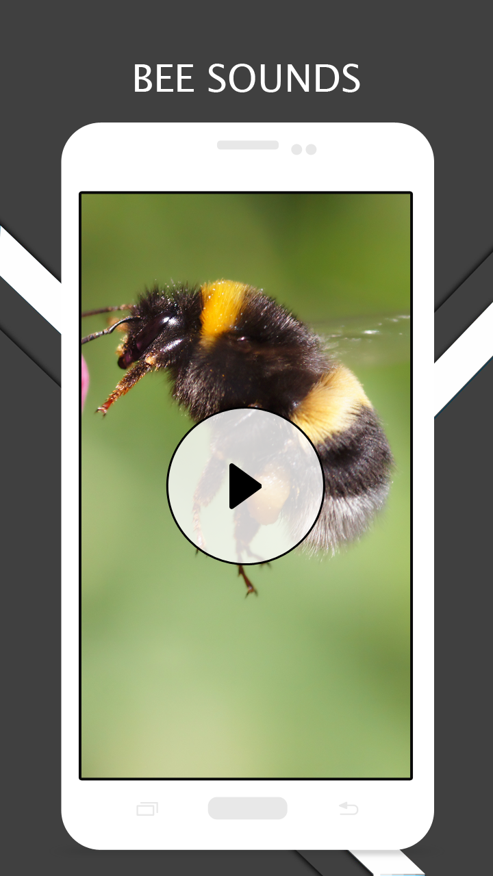 Bee Sounds - App on Amazon Appstore