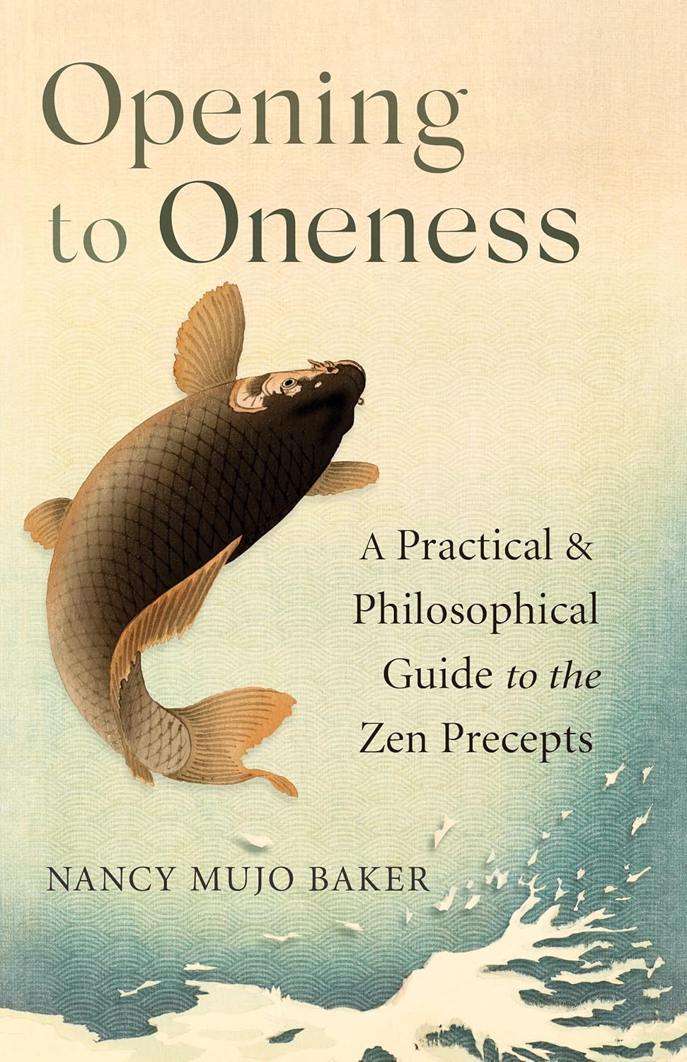 Amazon.com: Opening to Oneness: A Practical and Philosophical Guide to ...
