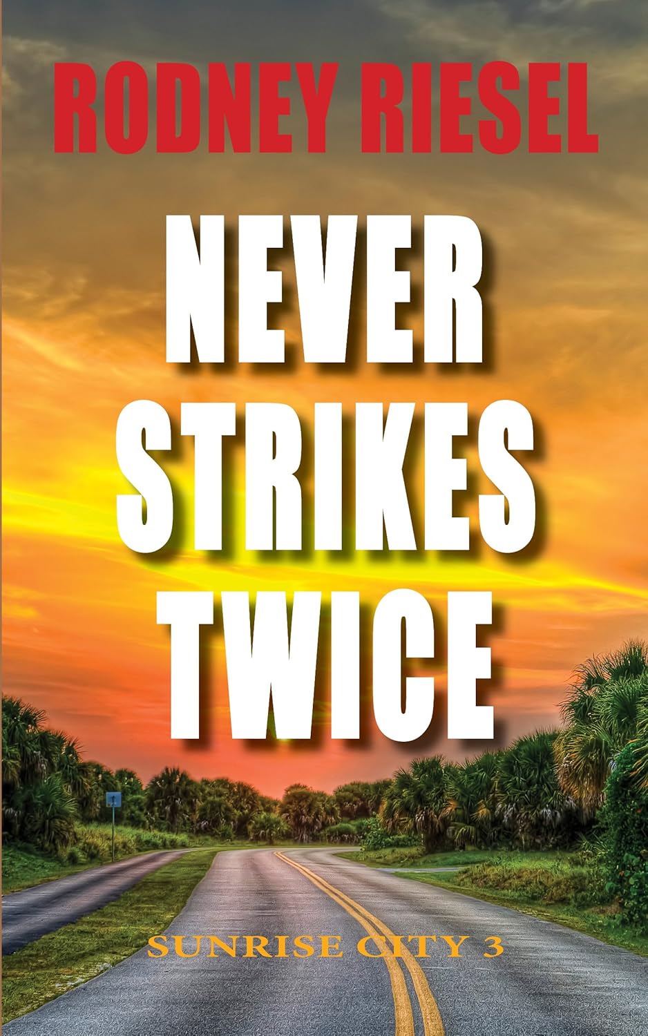 Amazon.com: Never Strikes Twice (Sunrise City Book 3) eBook : Riesel ...
