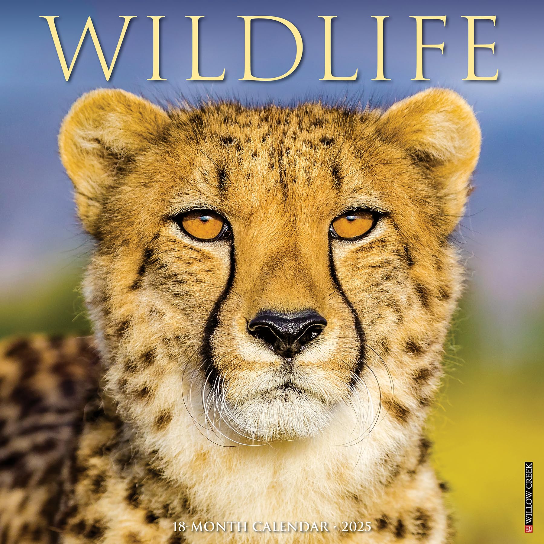 Amazon.com: Willow Creek Press Wildlife Monthly 2025 Wall Calendar (12" x 12") : Willow Creek ...