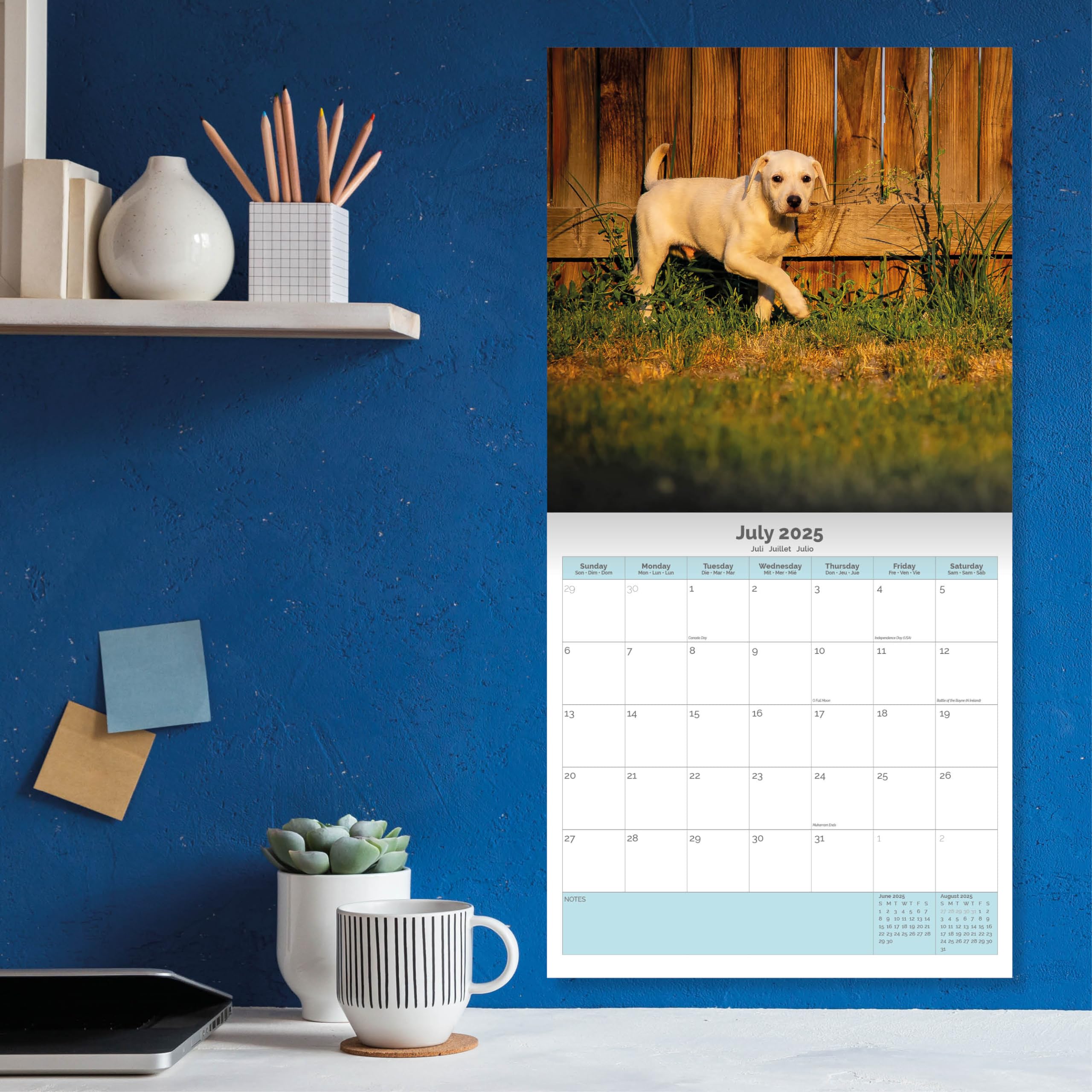 Baker and Bray Yellow Labrador Calendar 2025, Large Square Wall ...