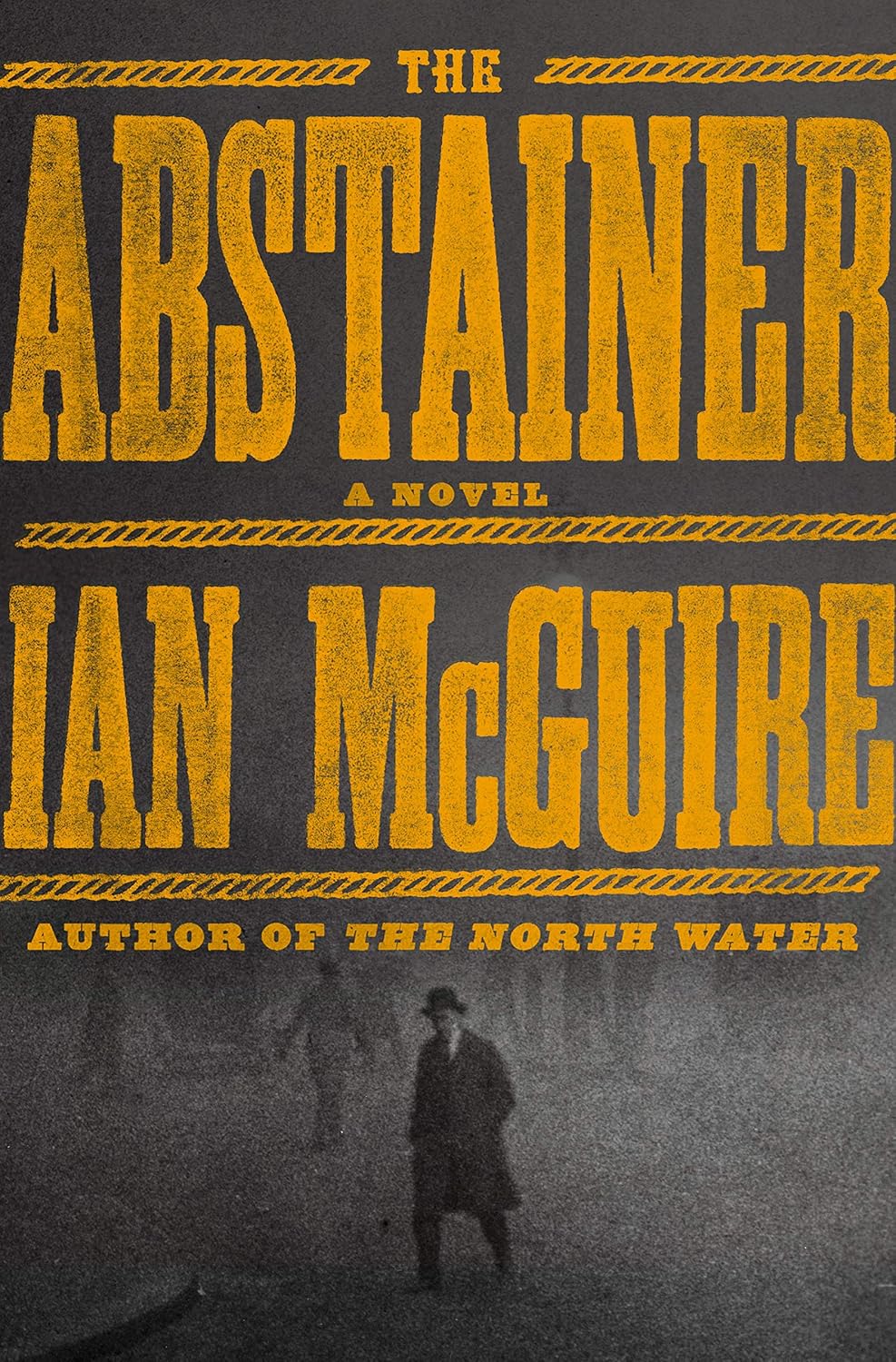 Amazon.com: The Abstainer: A Novel: 9780593133873: McGuire, Ian: Books