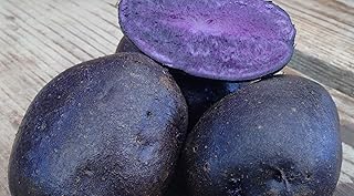 Perfectly Crispy Roasted Purple Potatoes: Easy Recipe & Tips | ShunGrill
