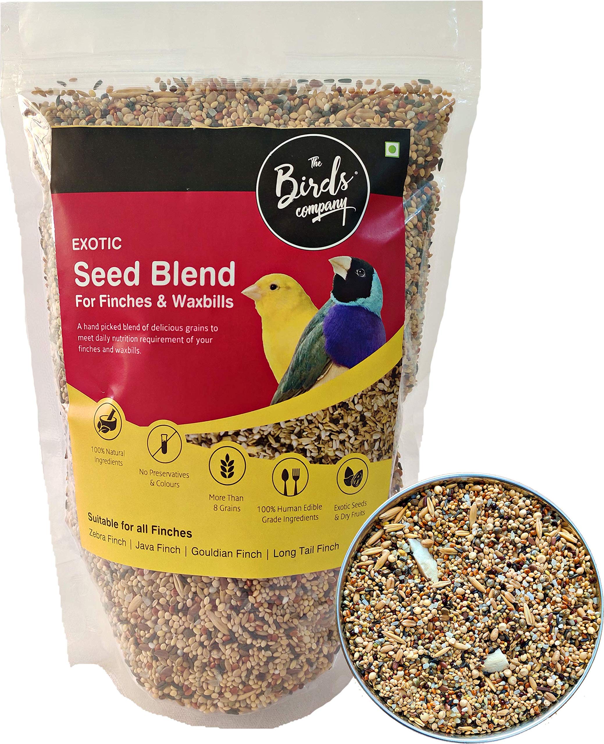 Buy The Birds Company Exotic Seed Blend of 8 Grains, Fortified with ...