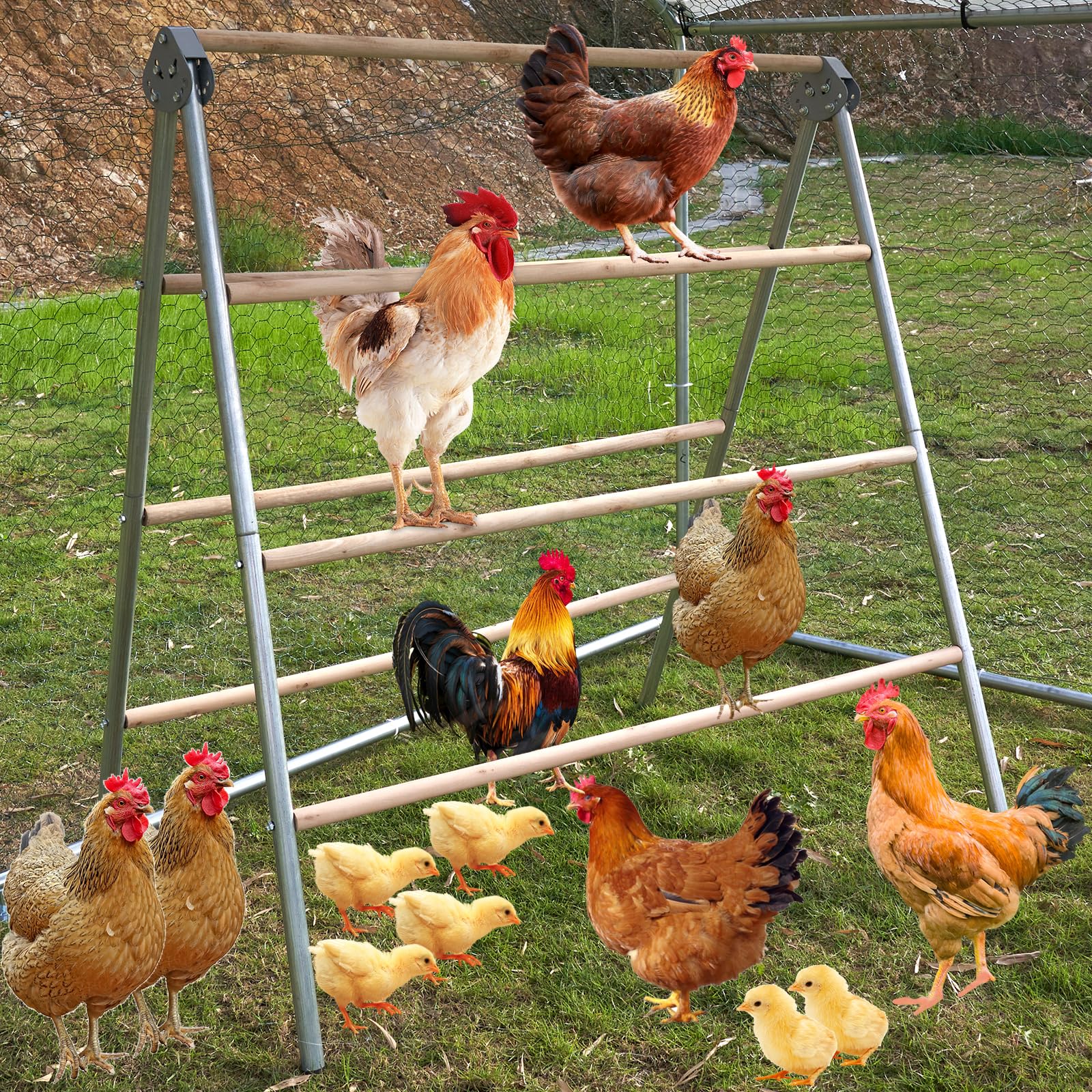 Chicken Perch Ladder for Coops, Chicken Roosting Bars, Wooden Chicken ...