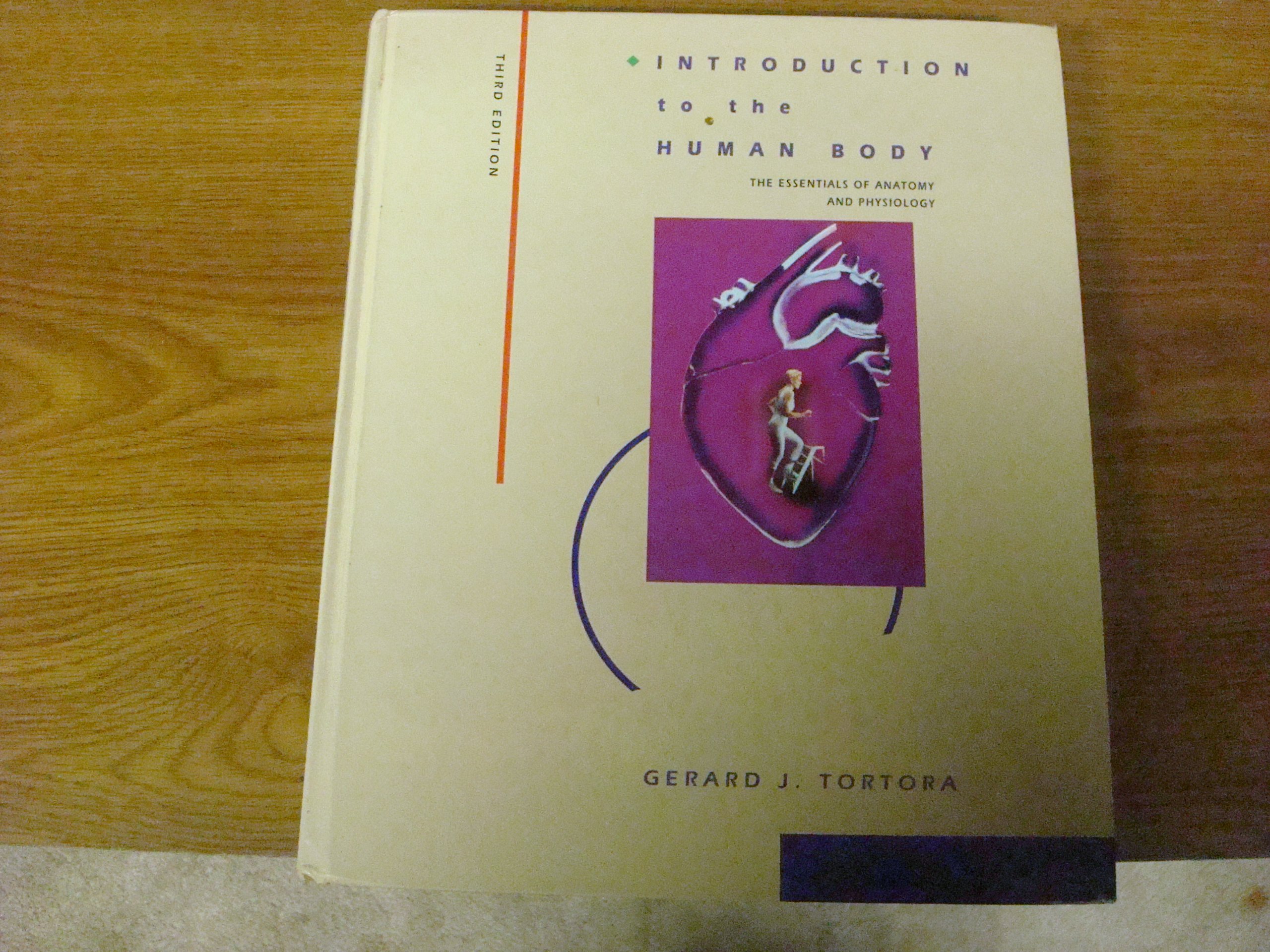 Introduction to the Human Body: The Essentials of Anatomy and ...