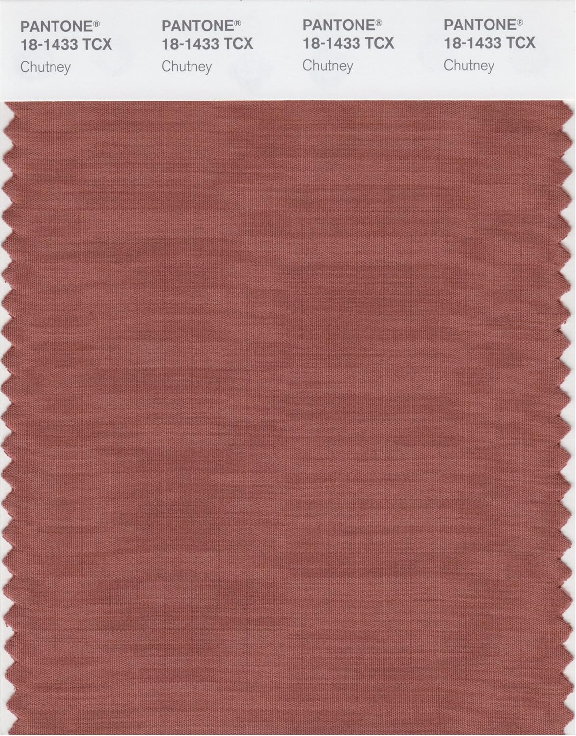 PANTONE Cartão de amostra colorida Smart 18-1433X, Chutney | Amazon.com.br