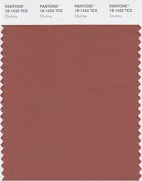 PANTONE Smart 18-1433X Color Swatch Card, Chutney - Wall Decor Stickers ...