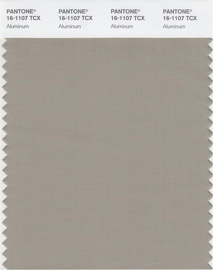 PANTONE Smart 16-1107X Color Swatch Card, Aluminum - House Paint ...
