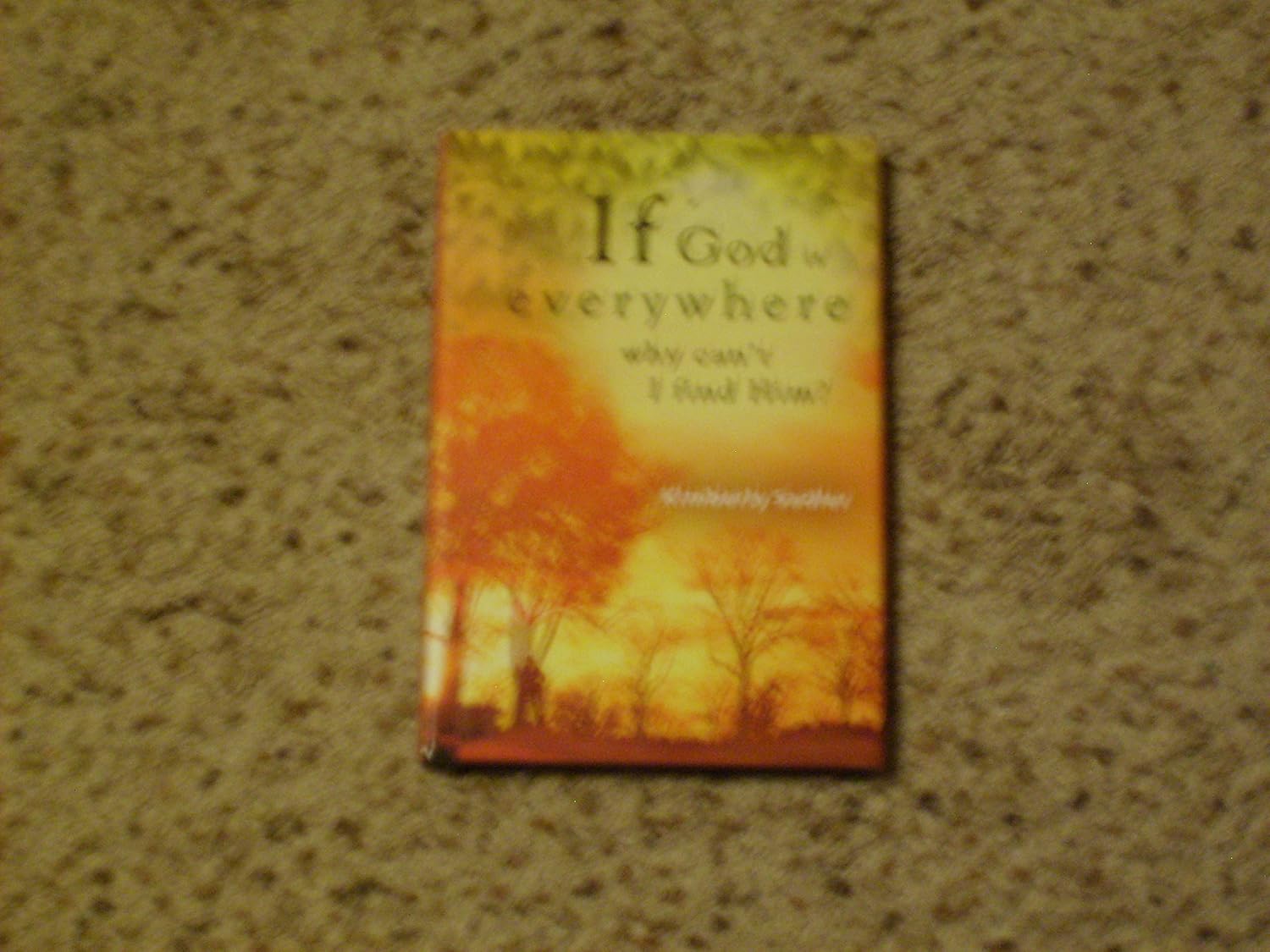 If God is Everywhere Why Can't I Find Him?: Kimberly Sadler ...