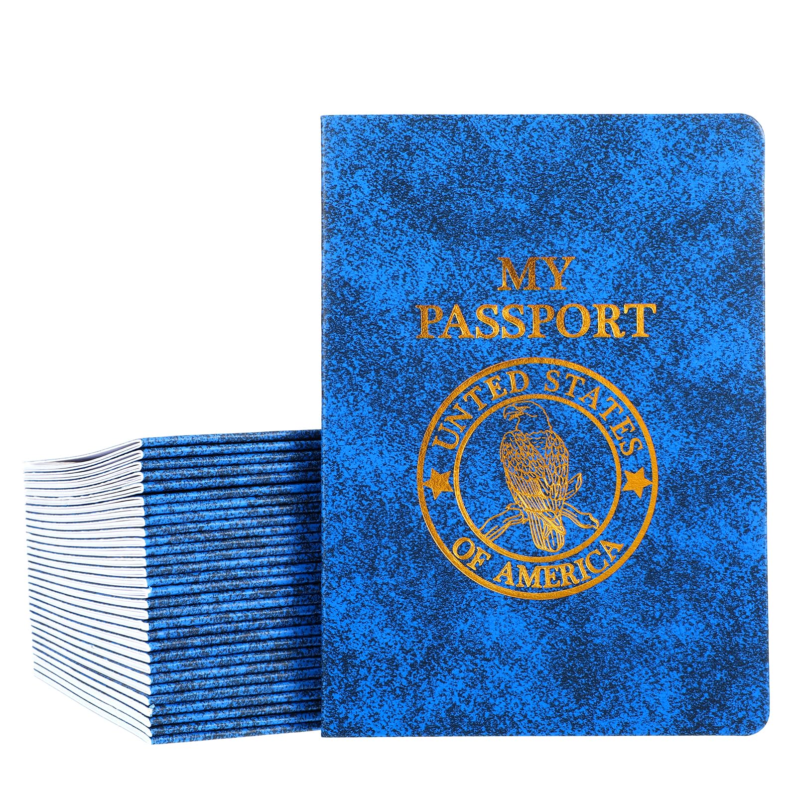 Amazon.com: 30 Pcs Blank Passport Notebook, Passport Book Fake Passport ...