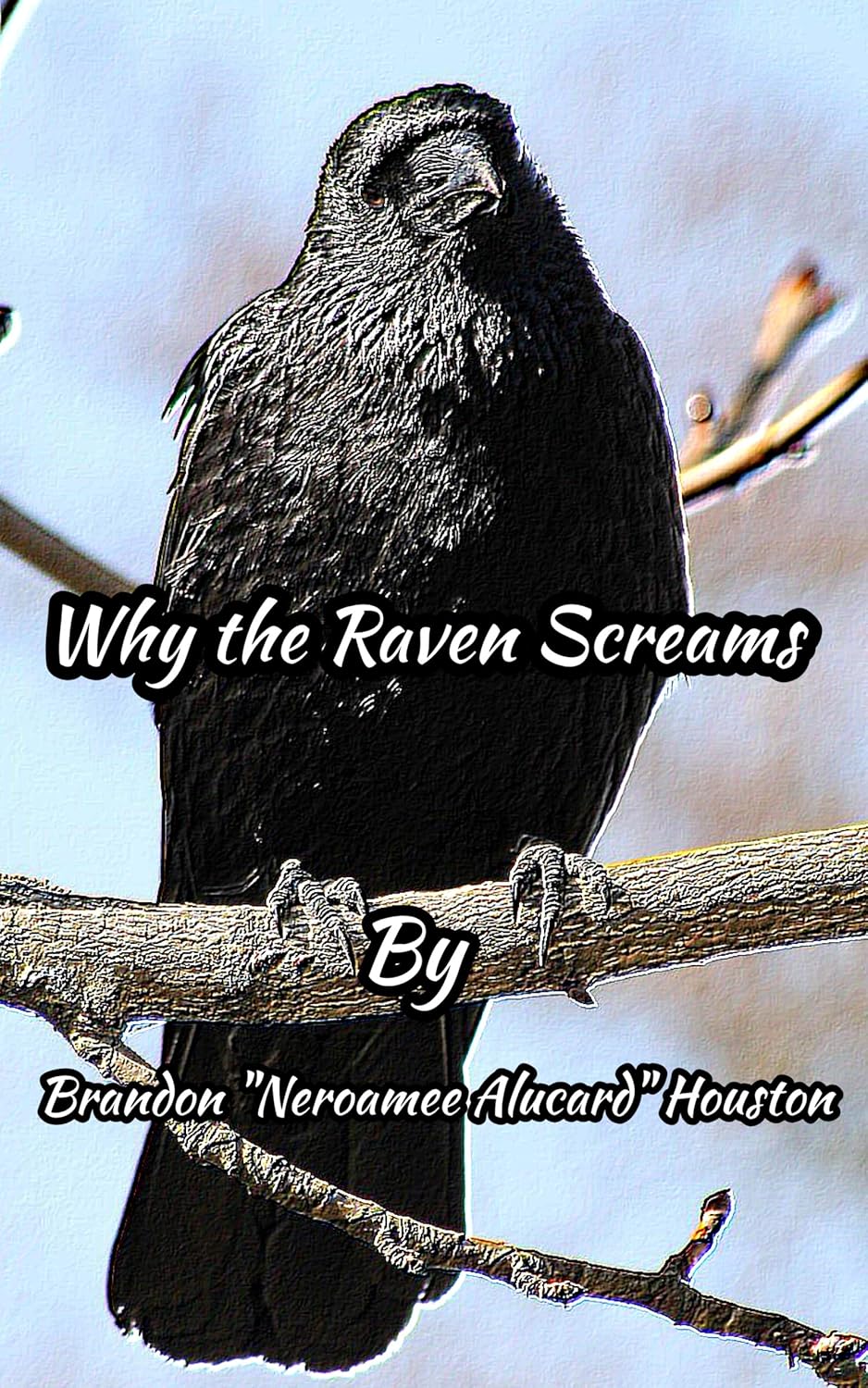 Amazon.com: Why The Raven Screams: A Poetry Compilation eBook : Houston ...