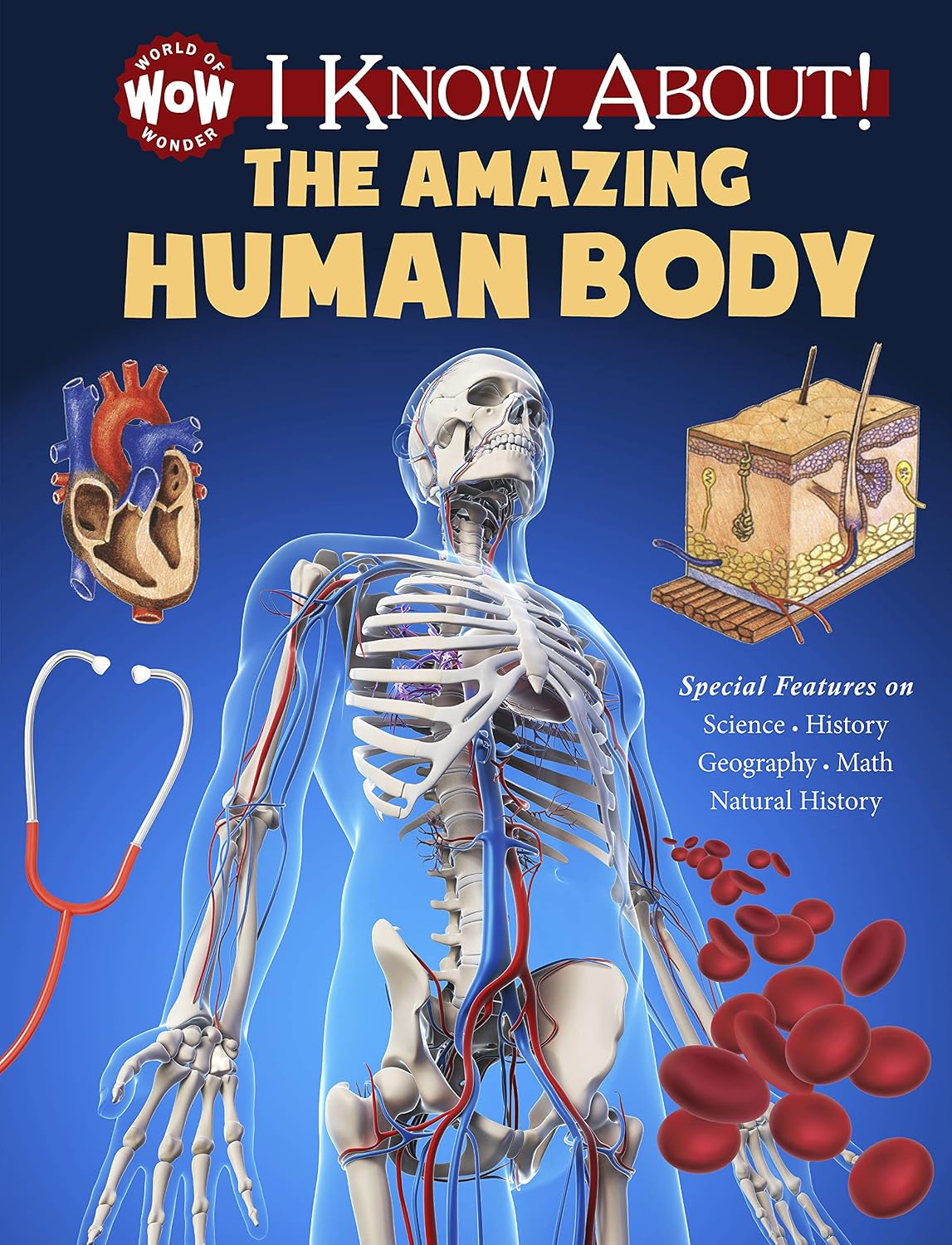 I Know About! The Amazing Human Body (World of Wonder): Green, Jen ...